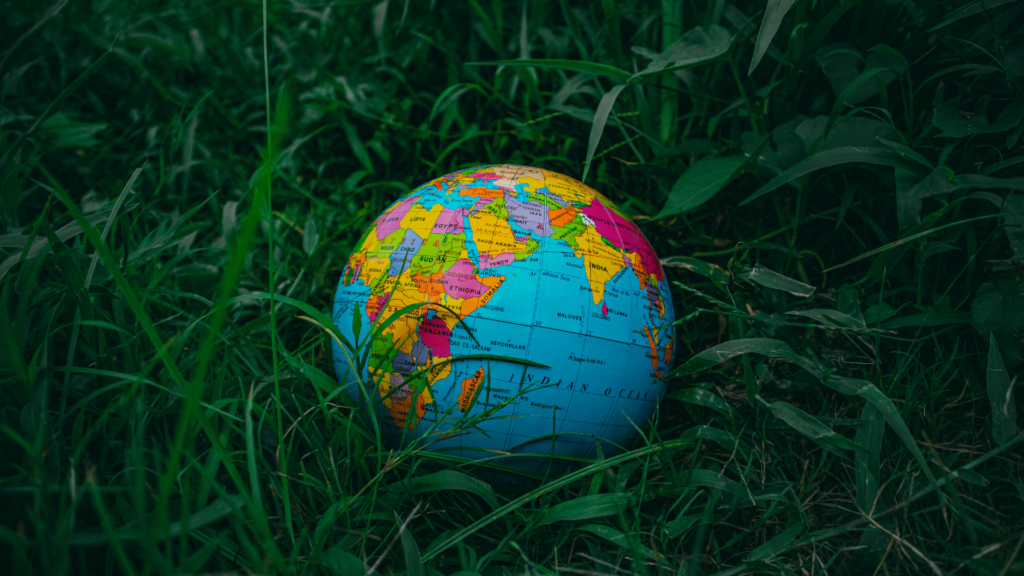 Edukacja ekologiczna – zakończono ocenę wniosków w zakresie spełnienia ...